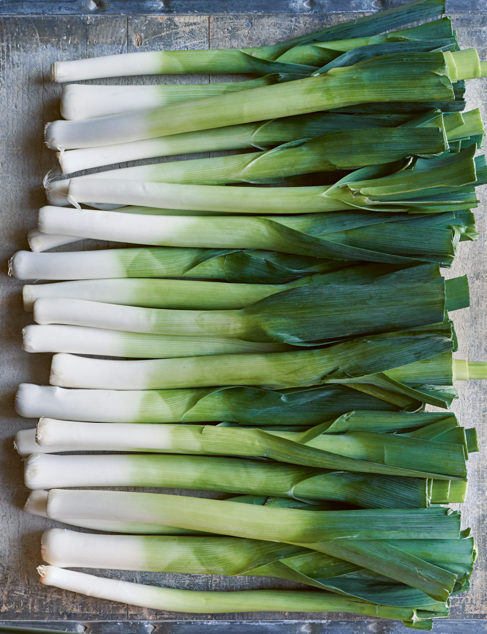 What to plant harvest and cook in December | Tips with Kathy Slack