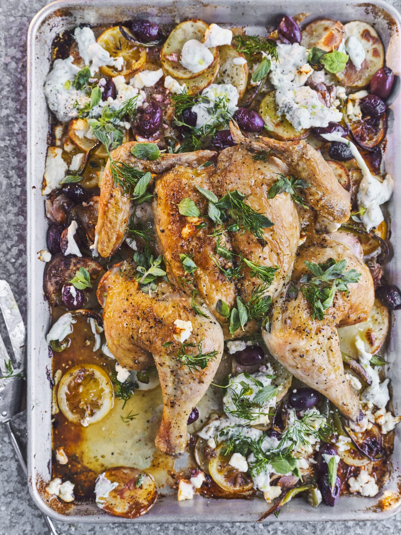 One-Pot Mob Recipes from the Mob One Cookbook